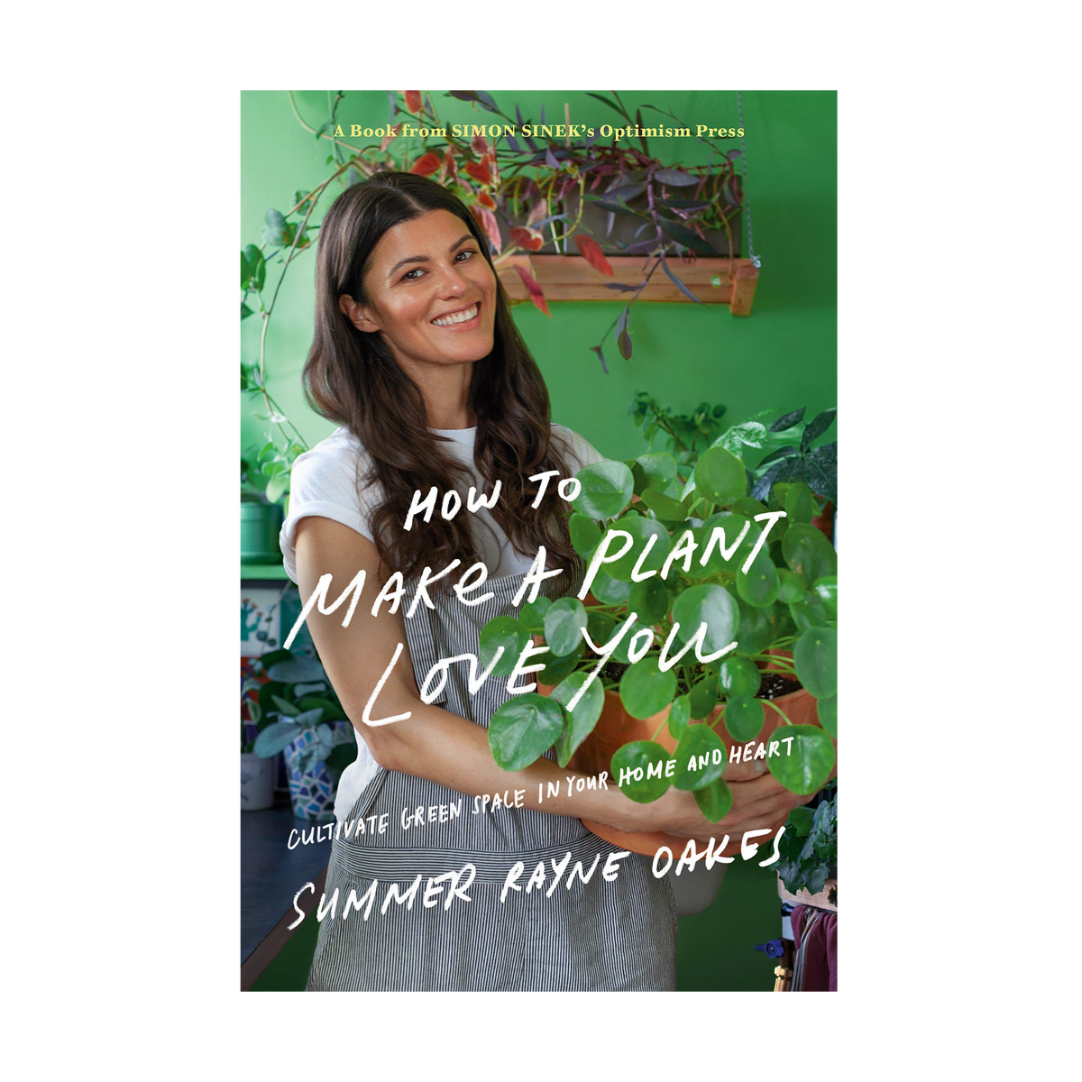 How To Make A Plant Love You London Terrariums how-to-make-a-plant-love-you-london-terrariums