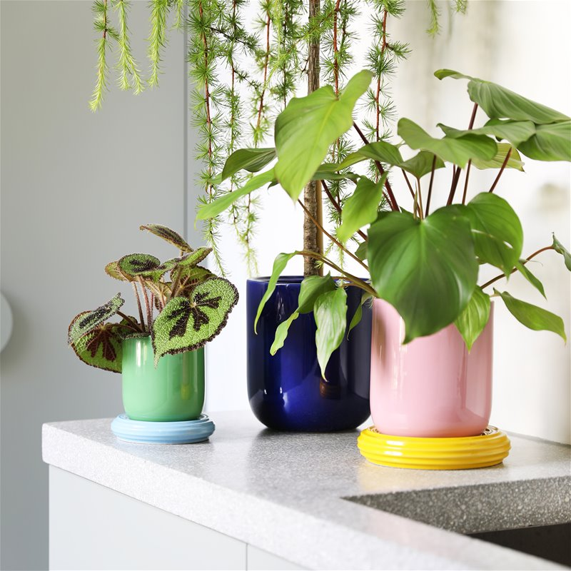 Indoor Plant Pots & Macramé Plant Hangers – London Terrariums