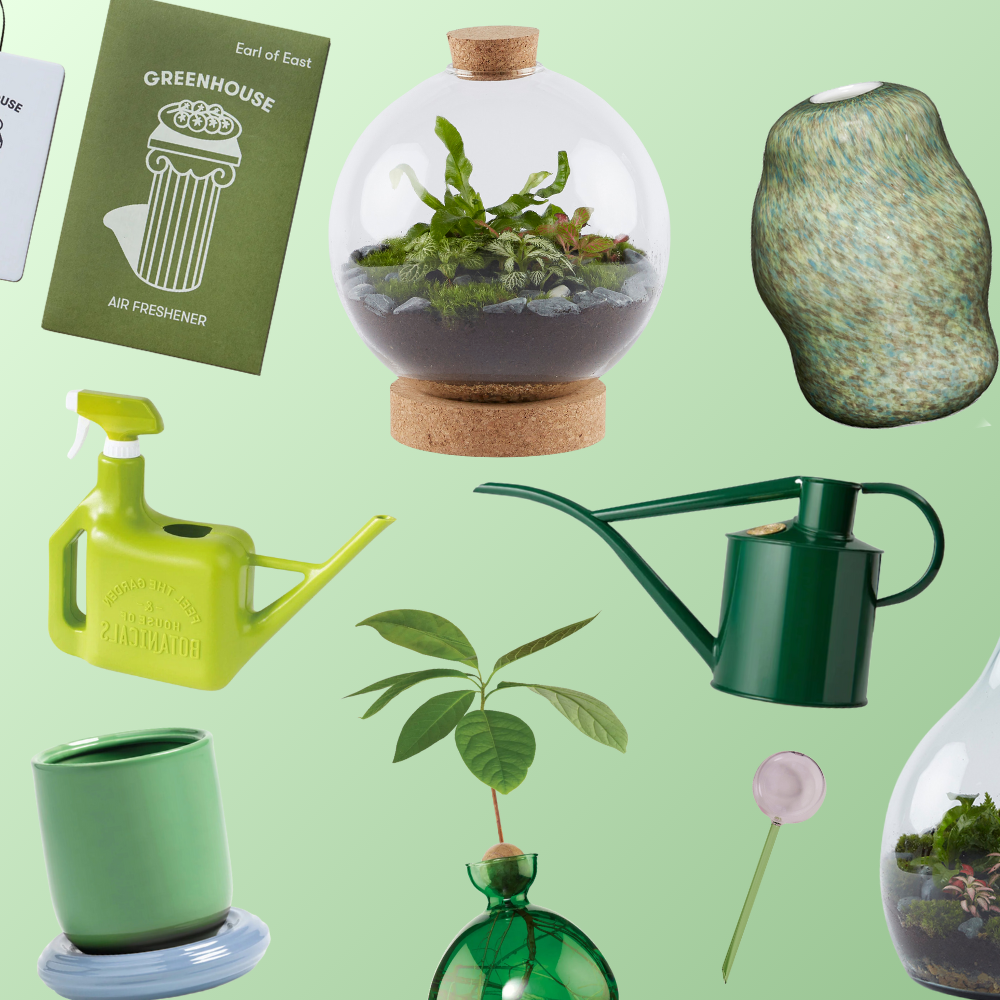 Get your daily greens! – London Terrariums