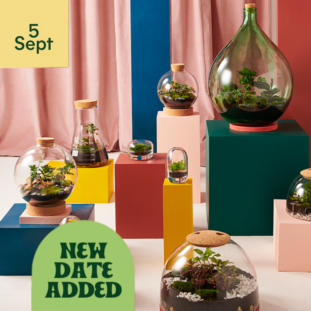 Terrarium Workshops & Events – London Terrariums