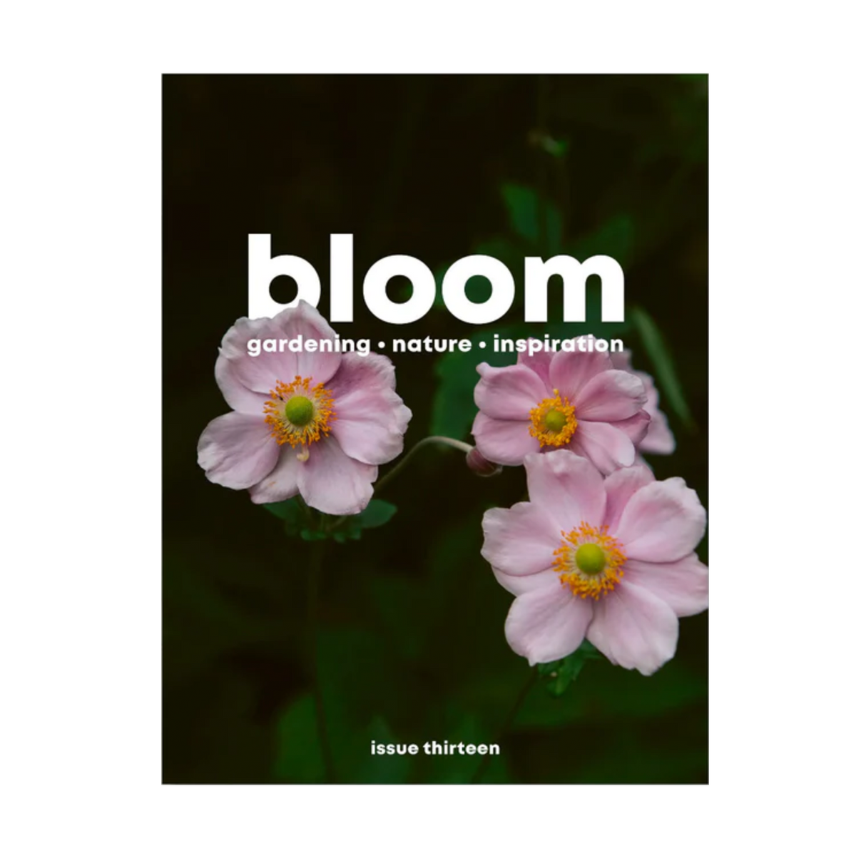 Bloom Magazine - Issue 13 – London Terrariums