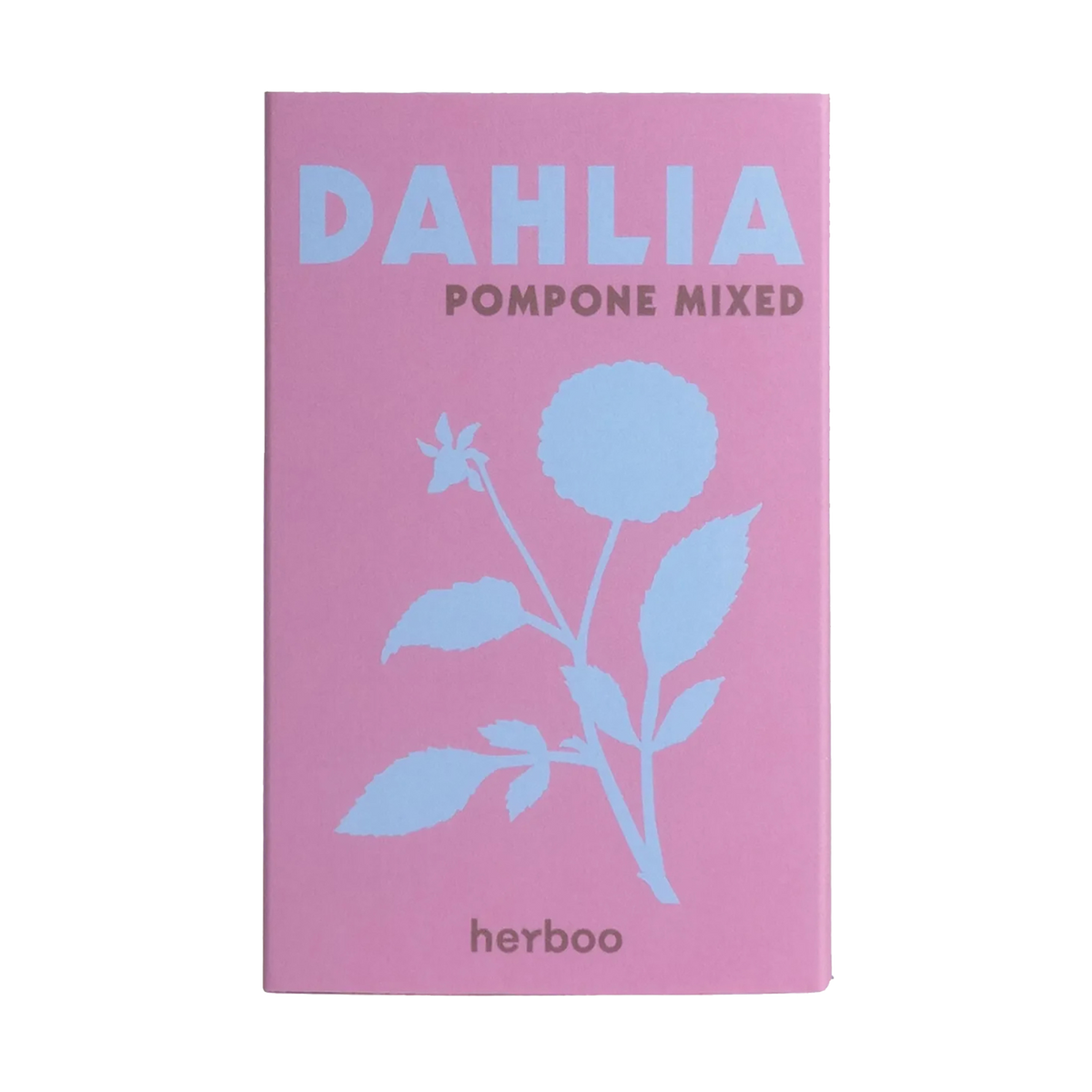 Dhalia 'Pompone Mixed' Seed Pack – London Terrariums