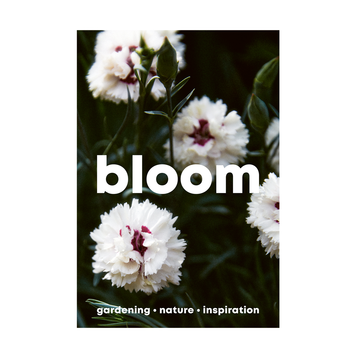 Bloom Magazine - Issue 14 – London Terrariums