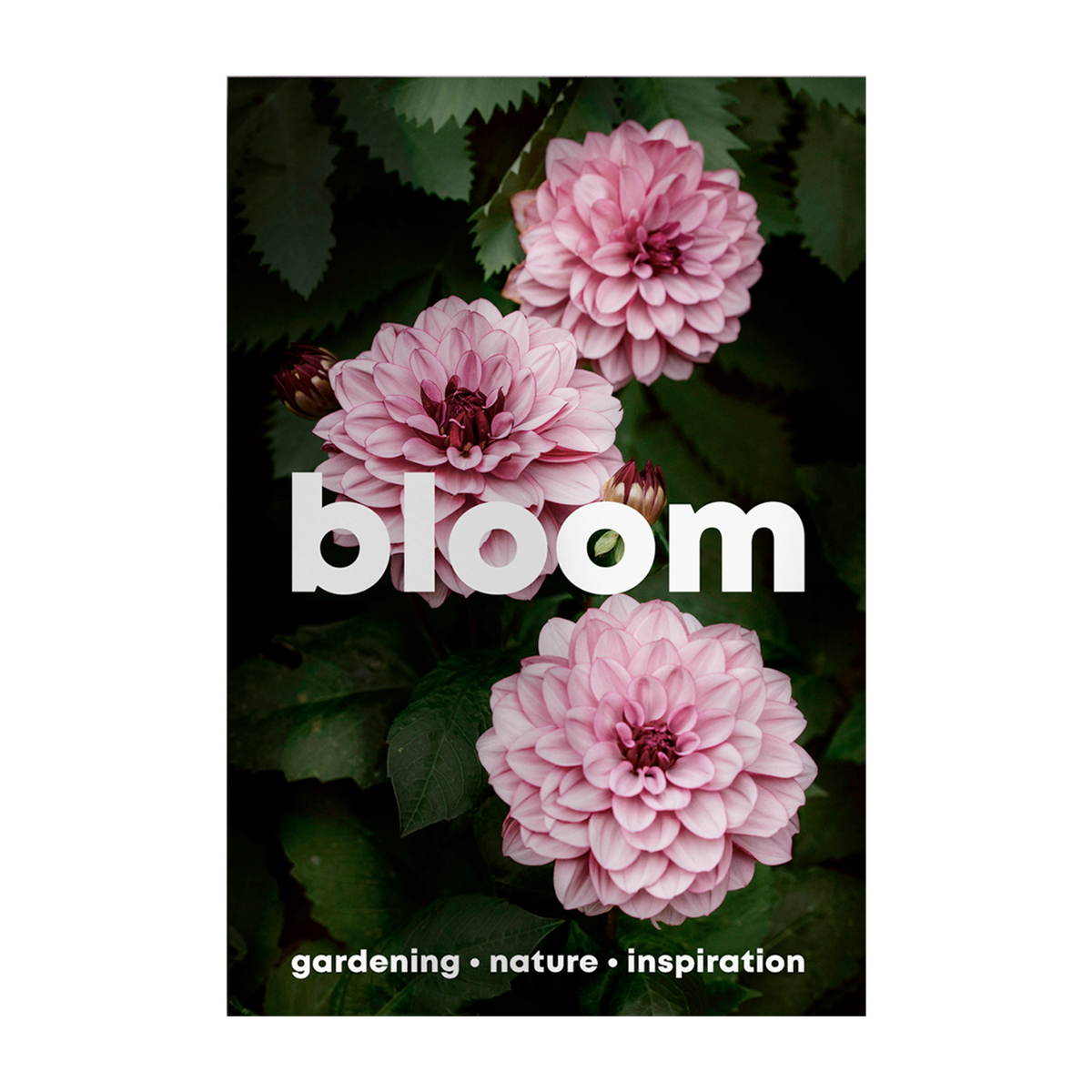 Bloom Magazine - Issue 16 – London Terrariums