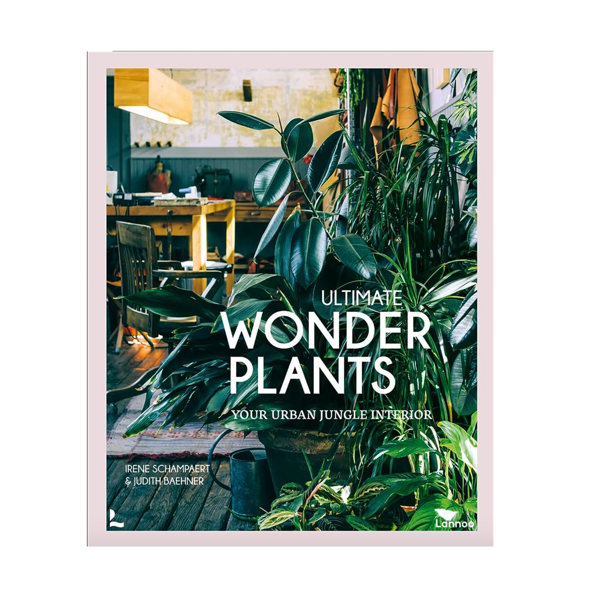 Ultimate Wonder Plants – London Terrariums