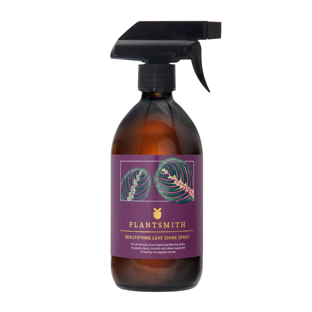 Beautifying Leaf Shine Spray – London Terrariums