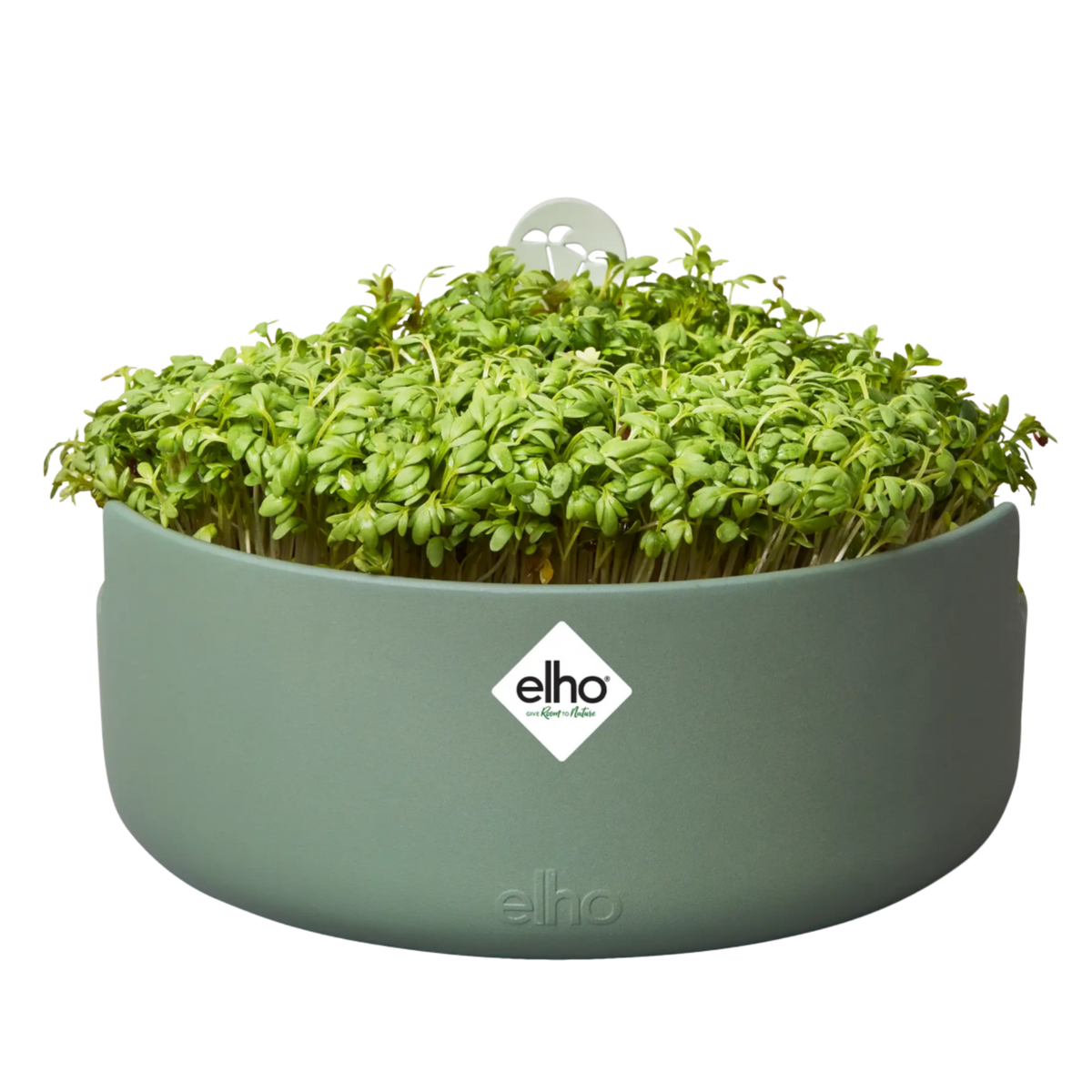 Magic Microgreens Pot – London Terrariums
