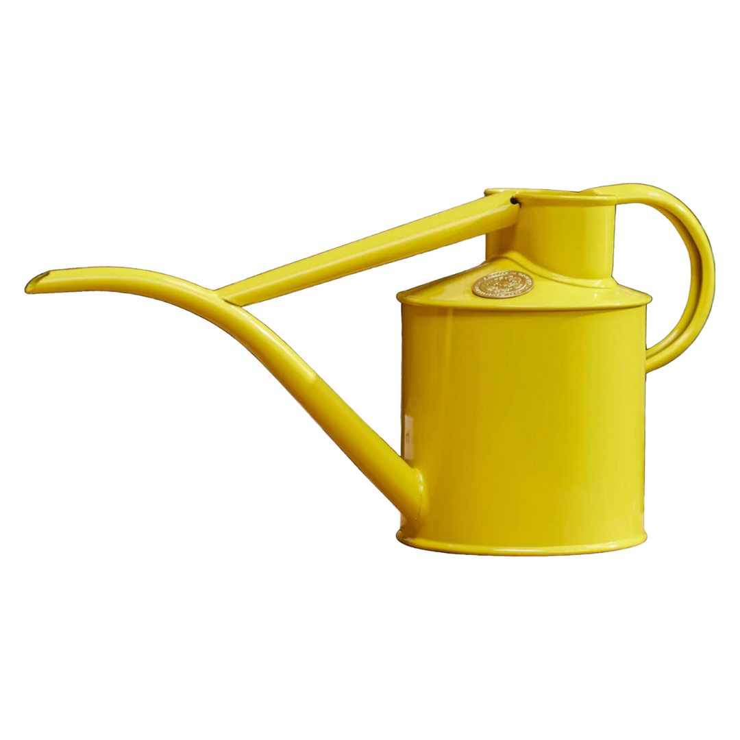 The Fazeley Flow Lotus Yellow Watering Can 2 Pint – London Terrariums